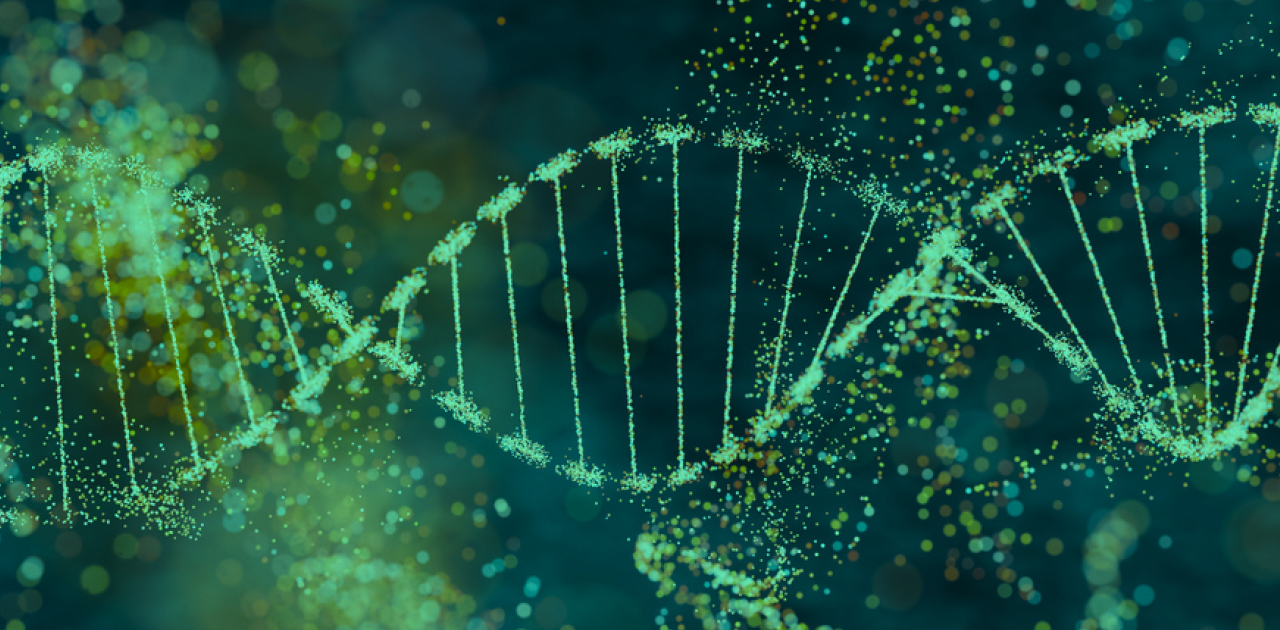 Precision Medicine vs Personalized Medicine | Within3